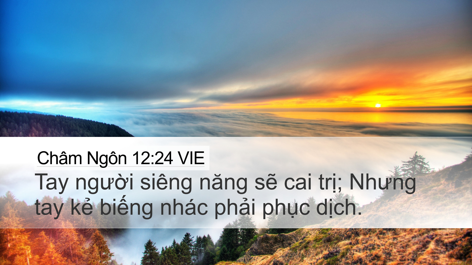 Châm Ngôn 12:24 VIE Desktop Wallpaper - Tay người siêng năng sẽ cai trị ...