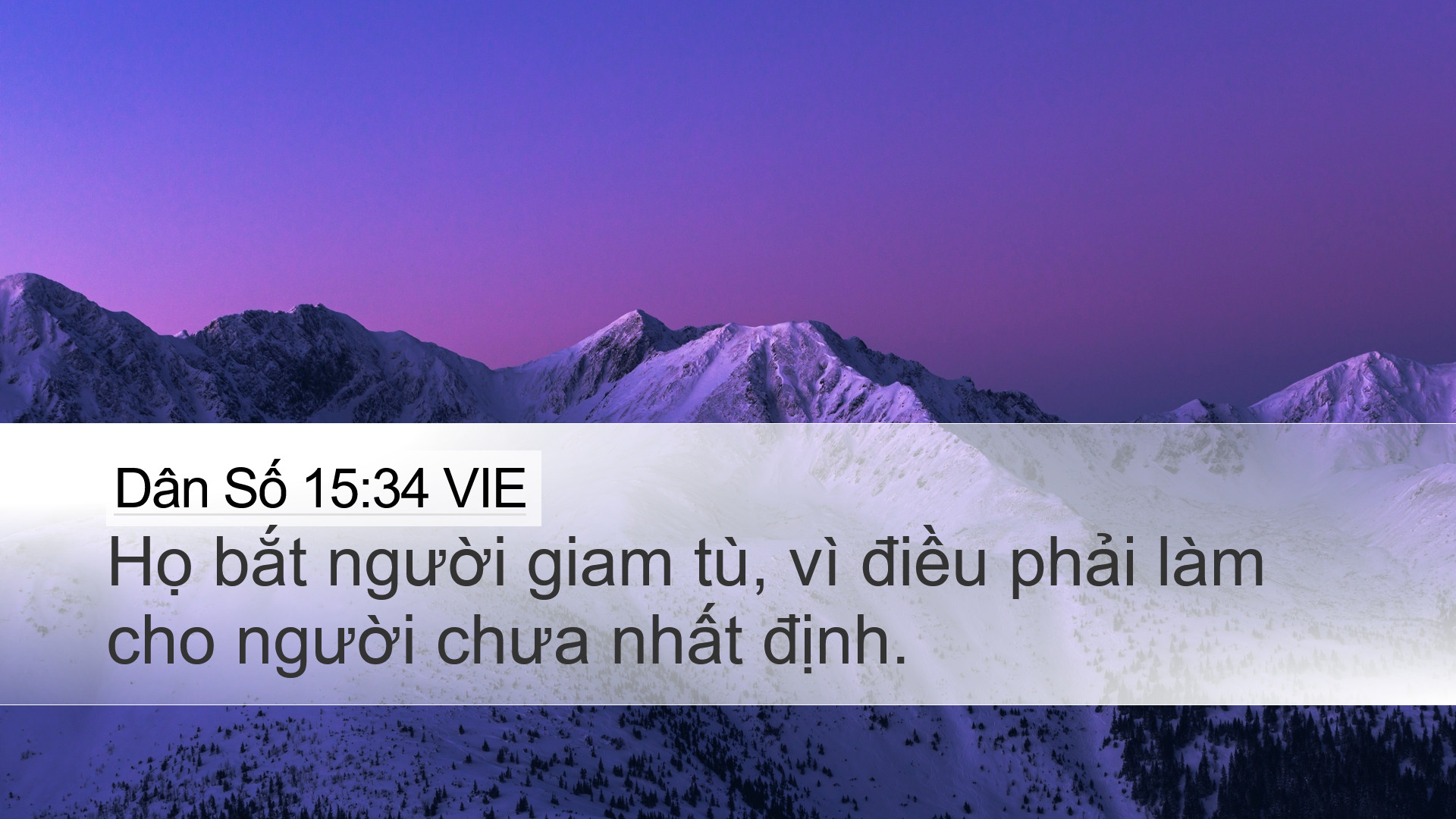 Dân Số 15:34 VIE Desktop Wallpaper - Họ bắt người giam tù, vì điều phải