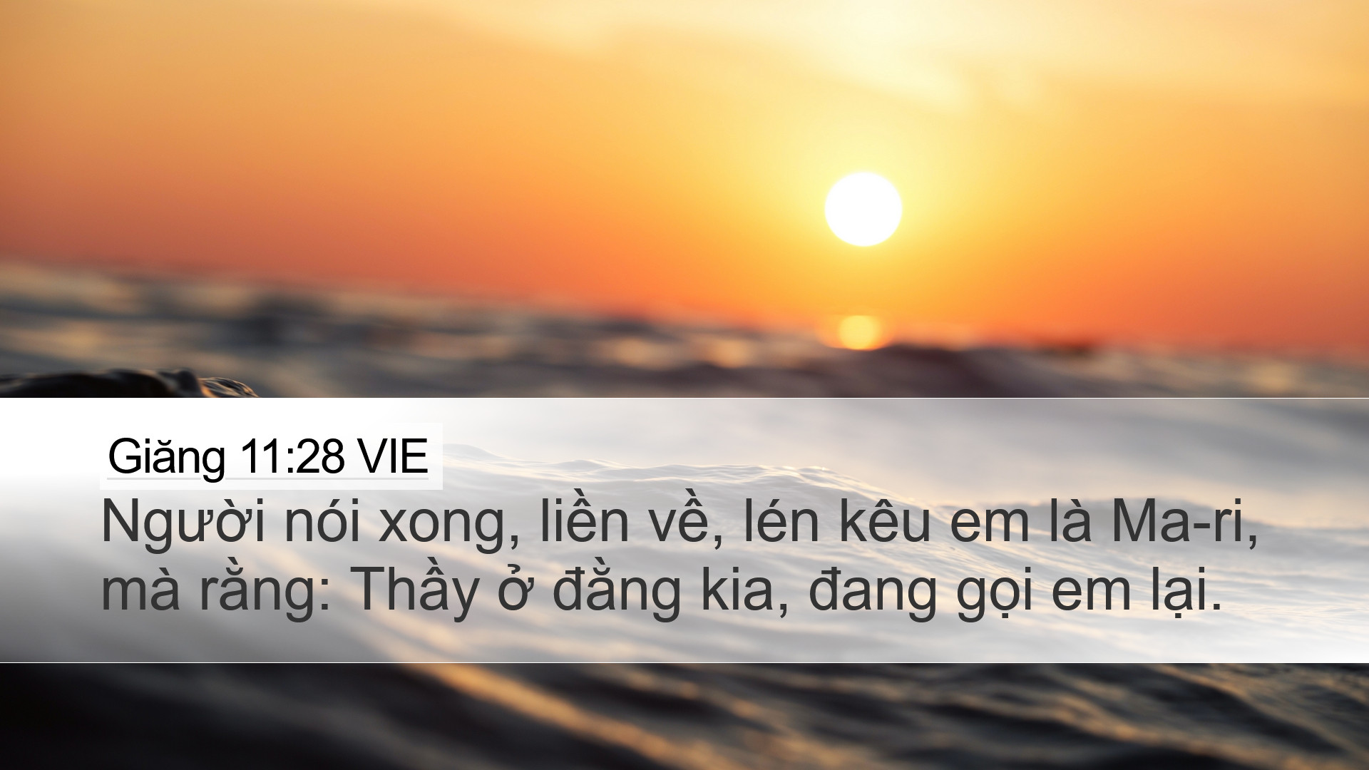 Giăng 11:28 VIE Desktop Wallpaper - Người nói xong, liền về, lén kêu em là