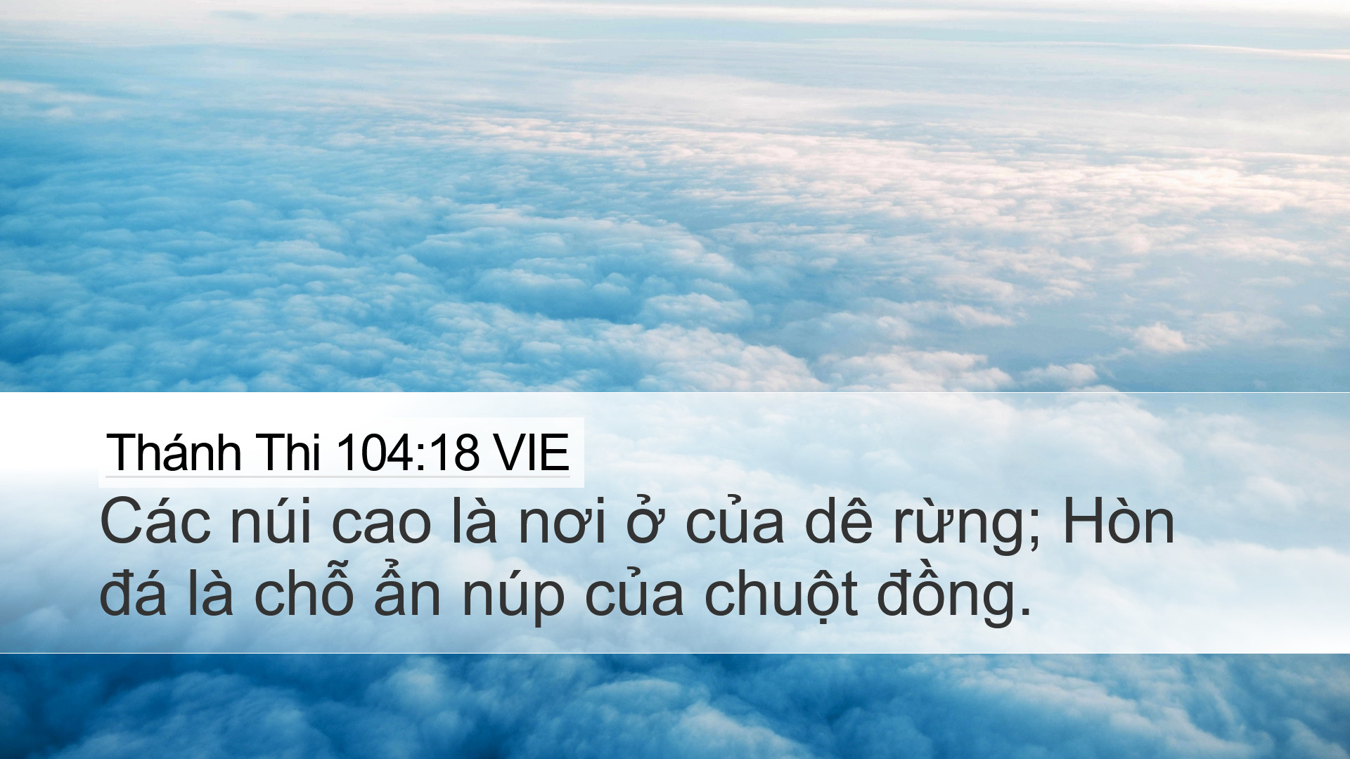 Thánh Thi 104:18 VIE Desktop Wallpaper - Các núi cao là nơi ở của dê ...