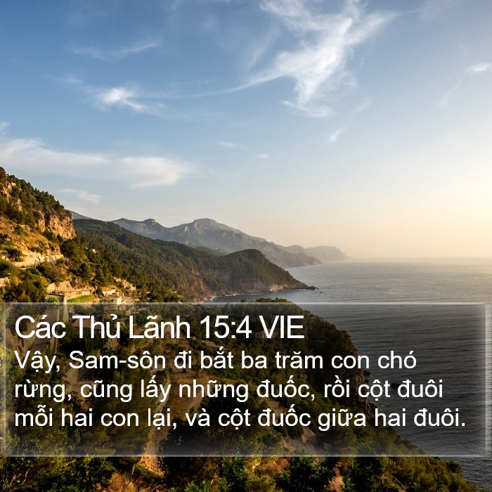 Các Thủ Lãnh 15:4 VIE - Vậy, Sam-sôn đi bắt ba trăm con chó