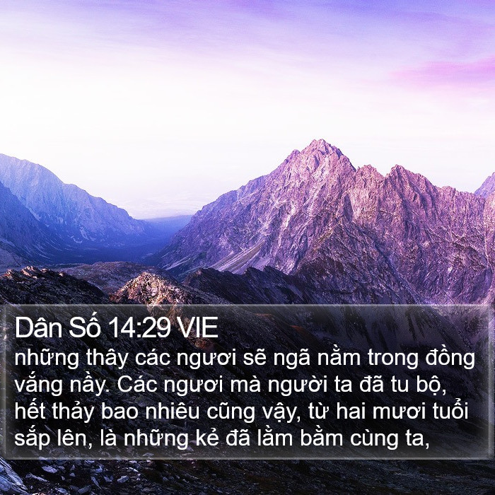Dân Số 14:29 VIE - những thây các ngươi sẽ ngã nằm trong