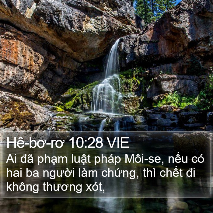 Hê-bơ-rơ 10:28 VIE - Ai đã phạm luật pháp Môi-se, nếu có