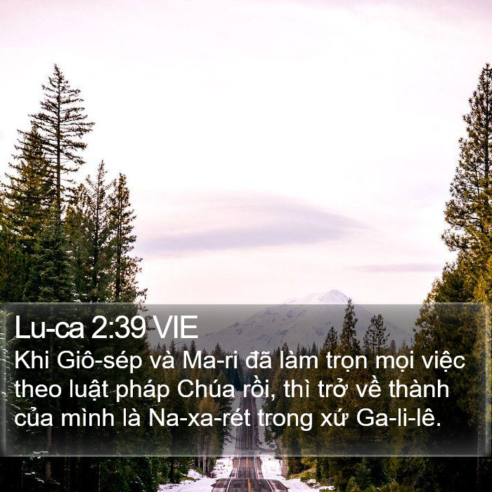 Lu-ca 2:39 VIE - Khi Giô-sép và Ma-ri đã làm trọn mọi