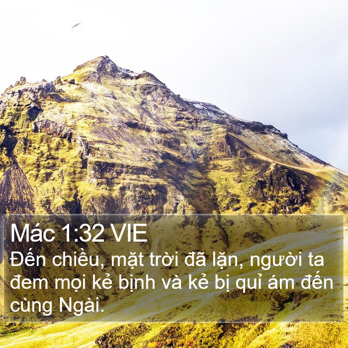 Mác 1:32 VIE - Đến chiều, mặt trời đã lặn, người