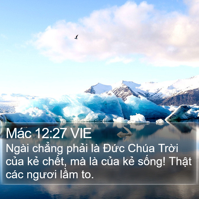 Mác 12:27 VIE - Ngài chẳng phải là Đức Chúa Trời