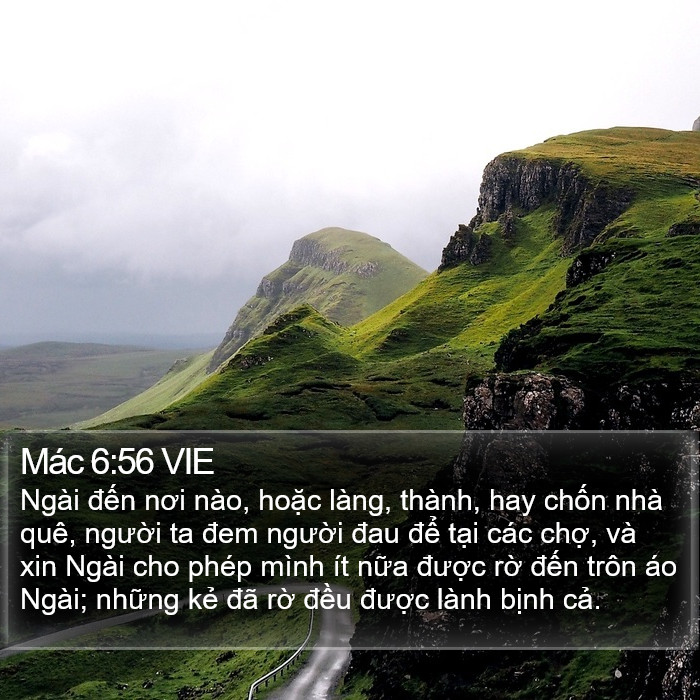 Mác 6 Bible Images - Mác Chapter 6 VIE Bible Verse Pictures