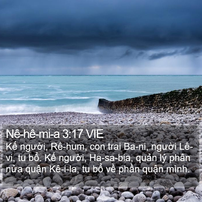 Nê-hê-mi-a 3:17 VIE - Kế người, Rê-hum, con trai Ba-ni, người