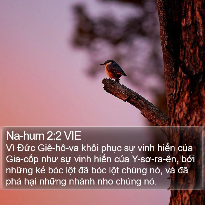 Na-hum 2:2 VIE - Vì Đức Giê-hô-va khôi phục sự vinh