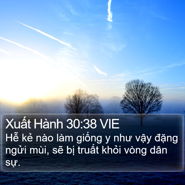 Xuất Hành 30 Bible Images - Xuất Hành Chapter 30 VIE Bible Verse Pictures